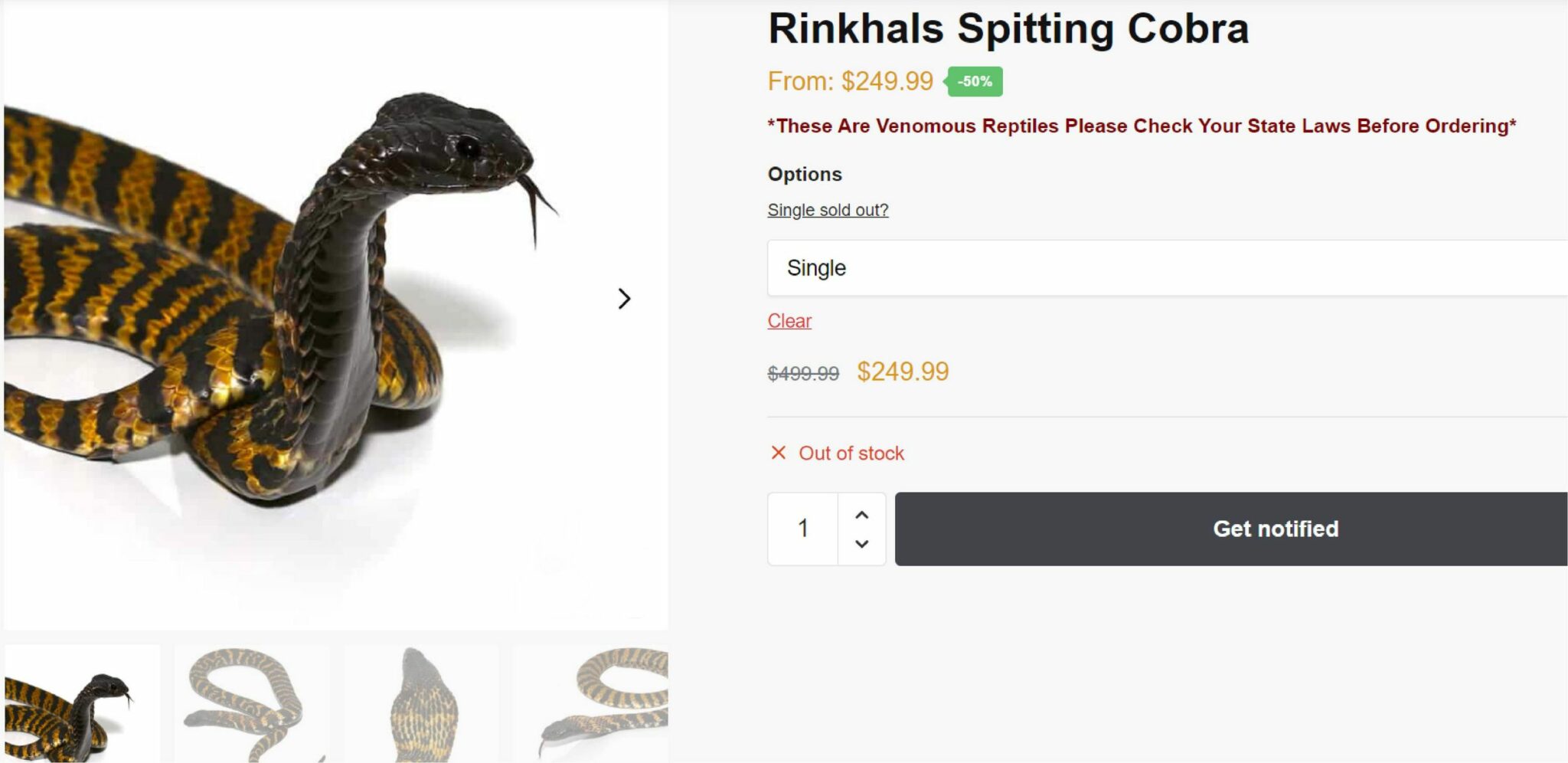 Snake Conservation - African Snakebite Institute