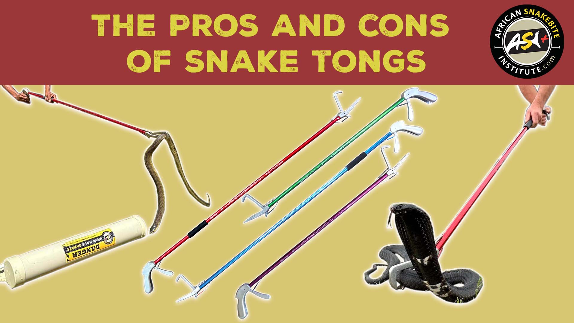 The Pros and Cons of Snake Tongs - African Snakebite Institute