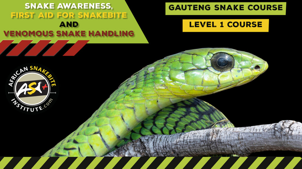 Snake Awareness & Venomous Snake Handling (Gauteng) - 2023-12-09