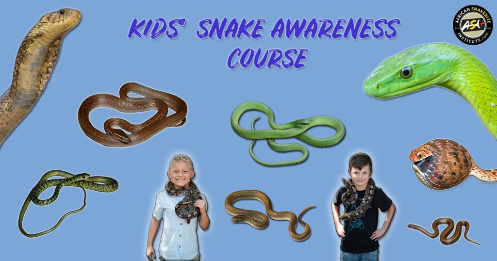 Kids' Snake Awareness Course (Kwa-Zulu-Natal) - 2024-01-28