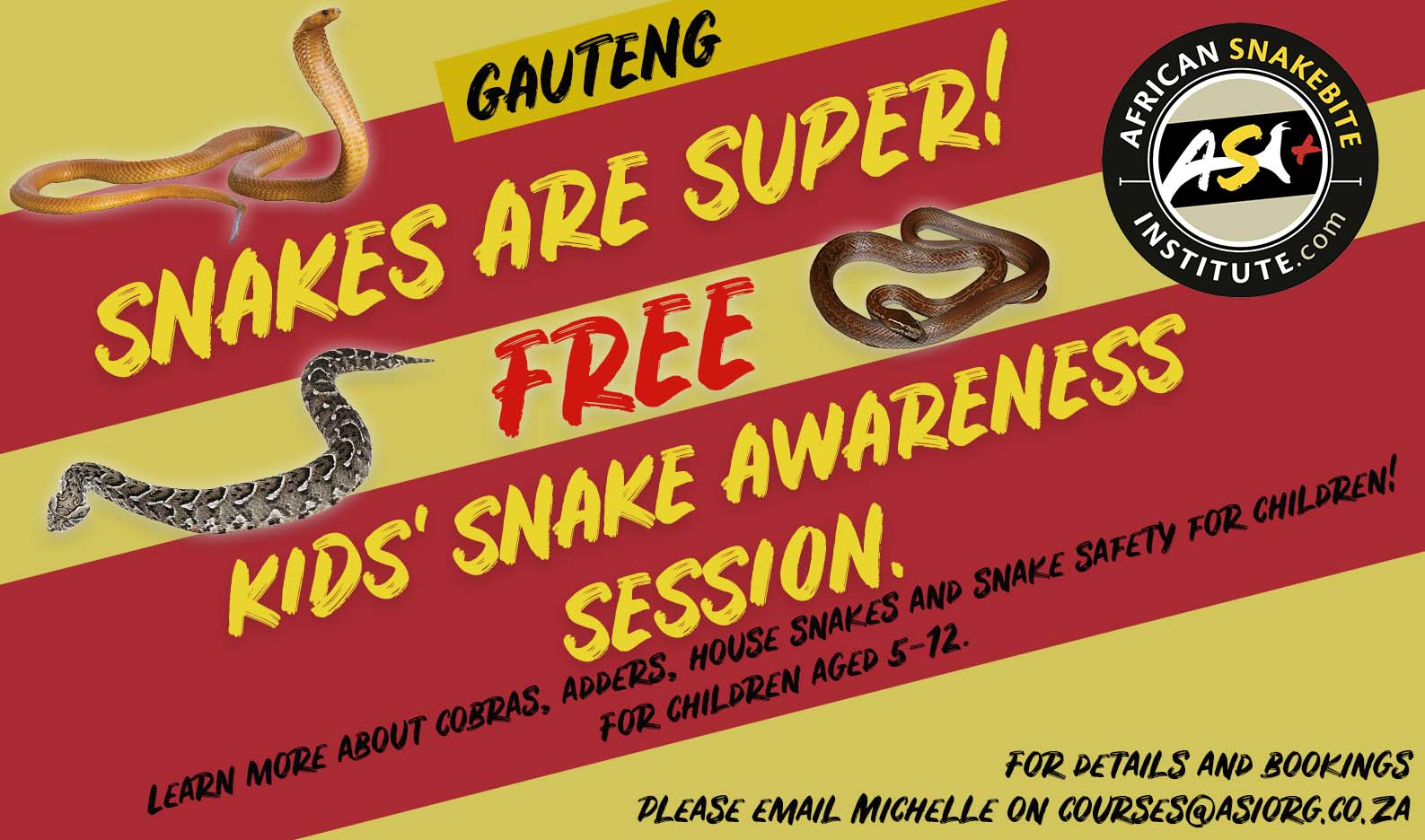 Snakes are super! Kids' Snake Awareness Session - Gauteng - Cradle Moon ...