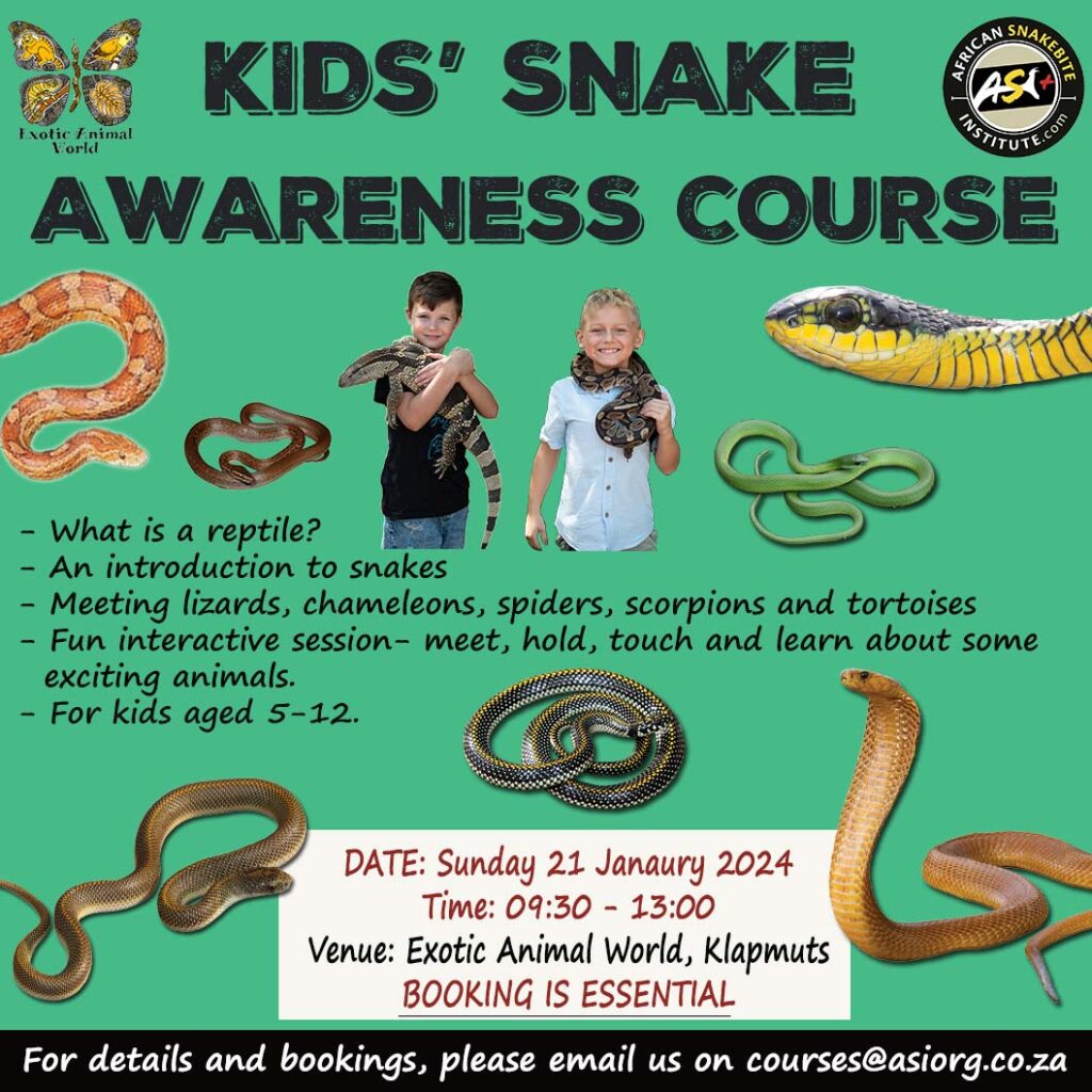 Kids' Snake Awareness Course (Western Cape) - 2024-01-21