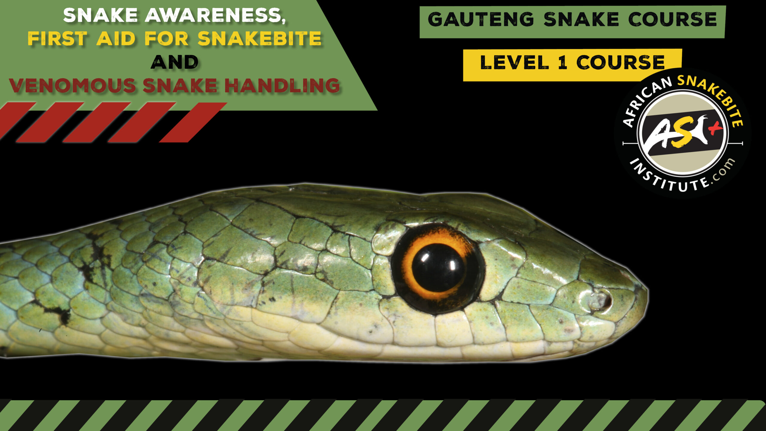 Snake Awareness & Venomous Snake Handling (Gauteng) - 2024-01-27