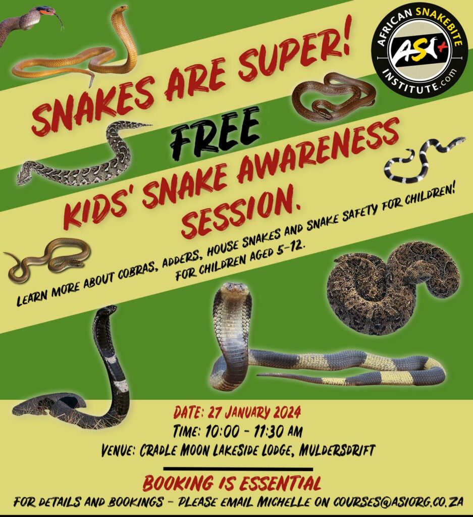 Snakes are super! Kids' Snake Awareness Session - Gauteng - Cradle Moon ...