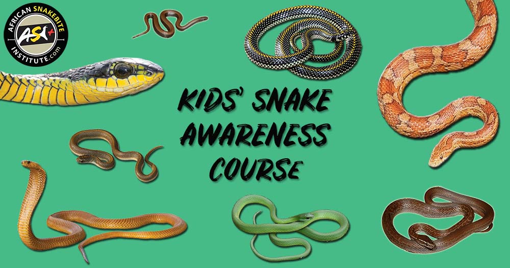 Kids' Snake Awareness Course (Western Cape) - 2024-01-21