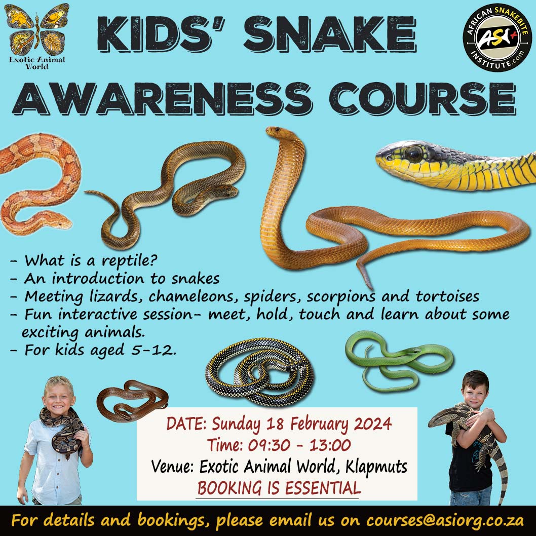 Kids' Snake Awareness Course (Western Cape) - 2024-02-18