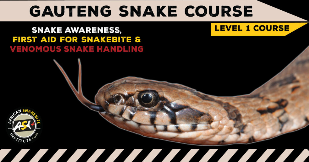 Snake Awareness & Venomous Snake Handling (Gauteng) - 2024-02-23