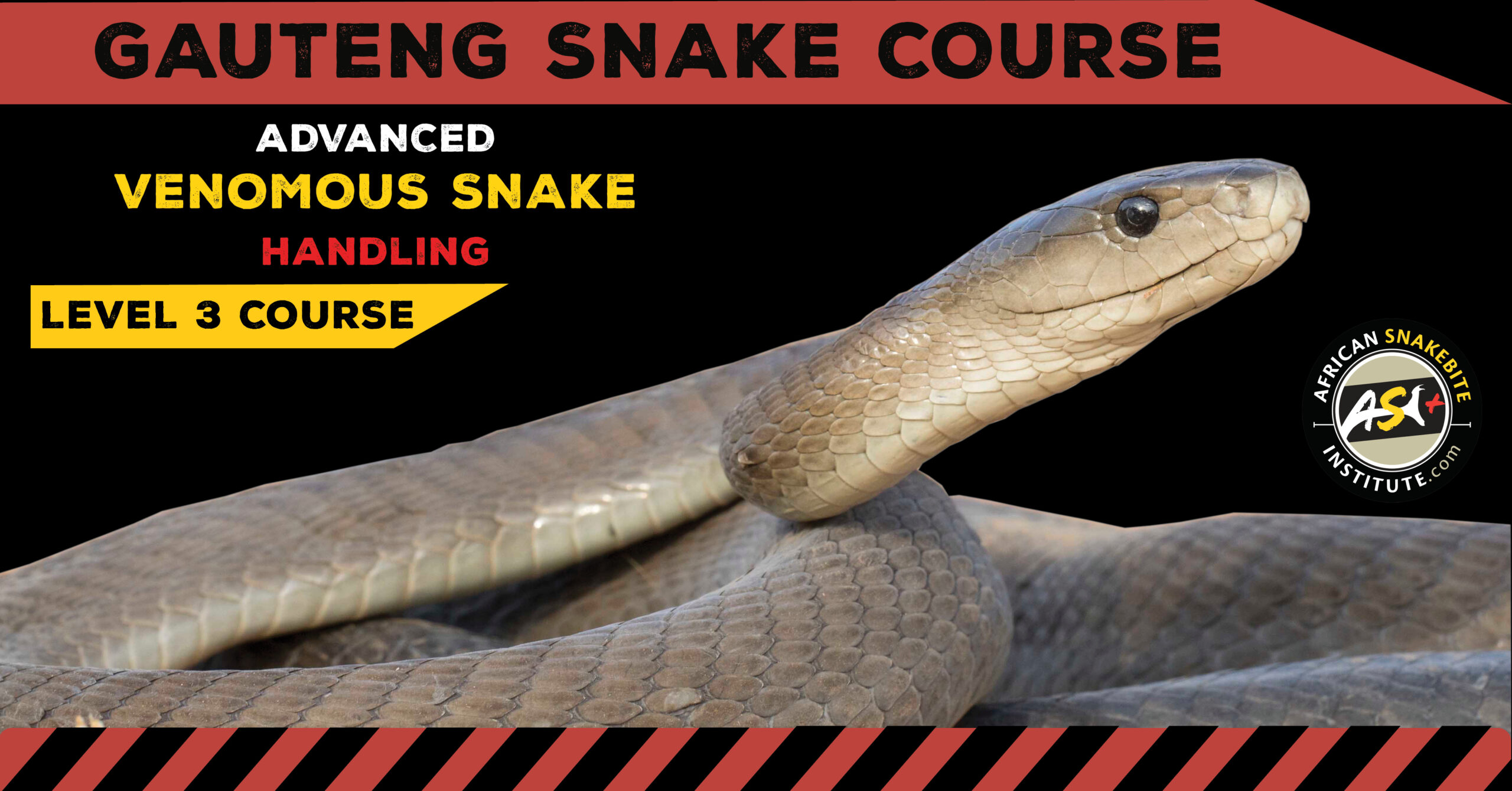 Advanced Venomous Snake Handling (Gauteng) - 2024-02-25