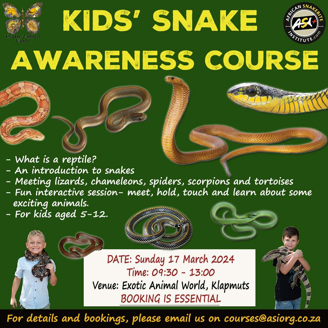 Kids' Snake Awareness Course (Western Cape) - 2024-03-17