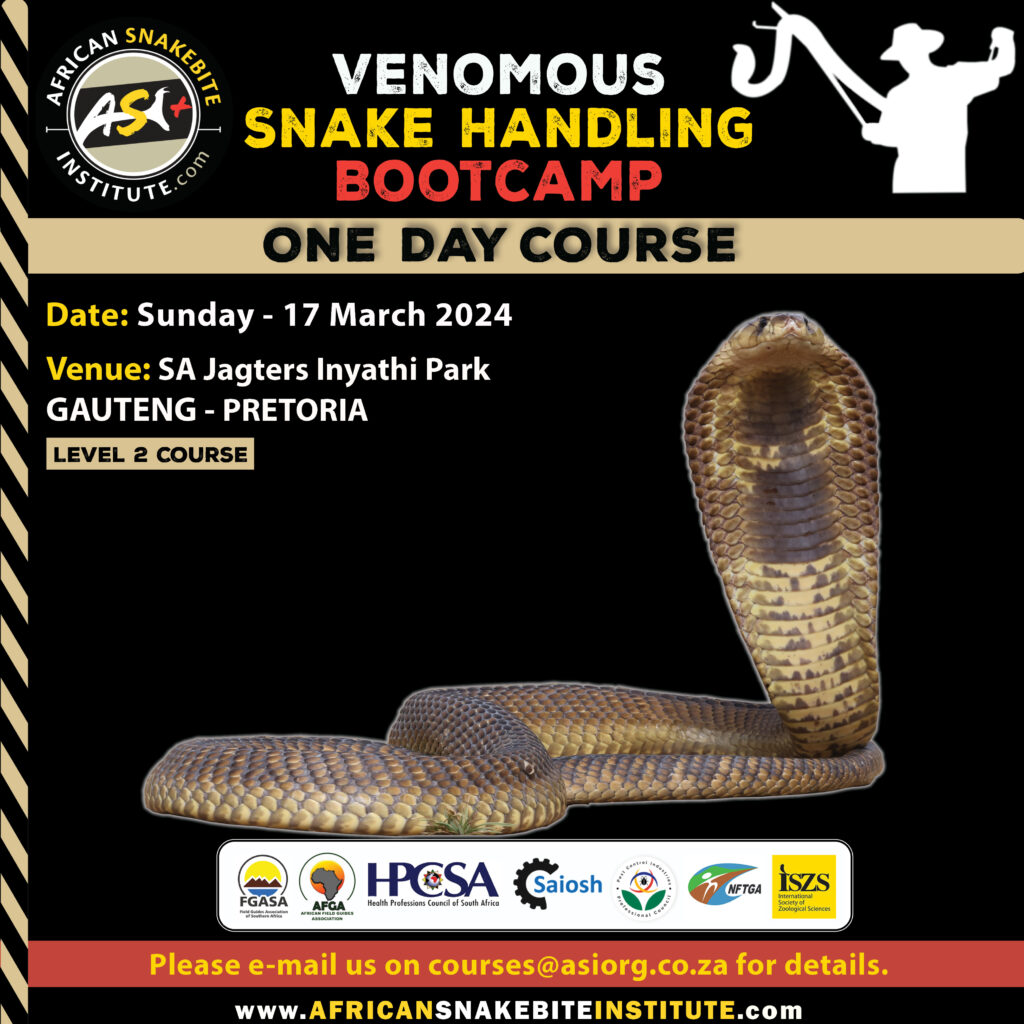 Venomous Snake Handling Bootcamp (Gauteng - Pretoria ) - 2024-03-17
