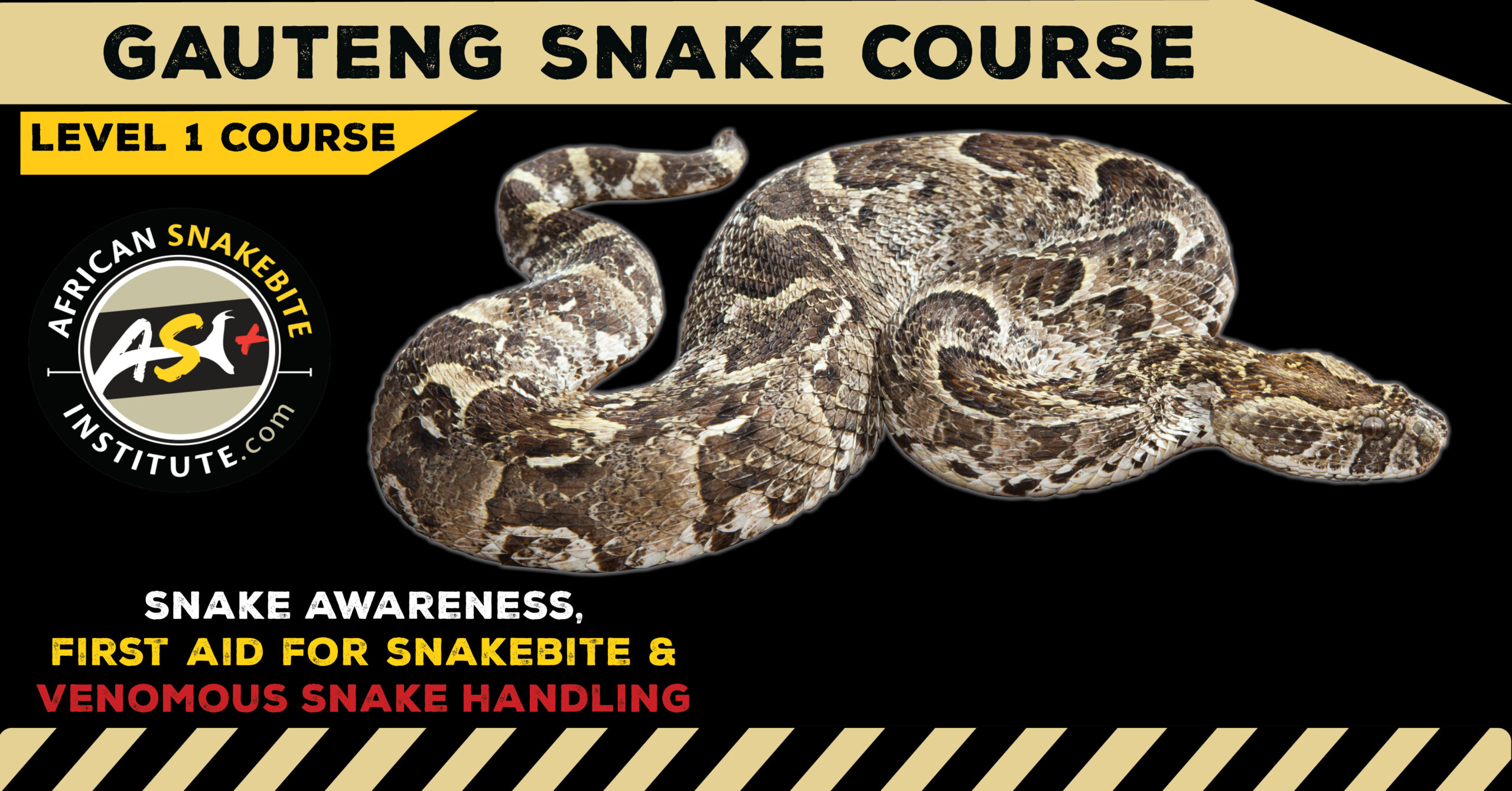 Snake Awareness & Venomous Snake Handling (Gauteng) - 2024-04-06