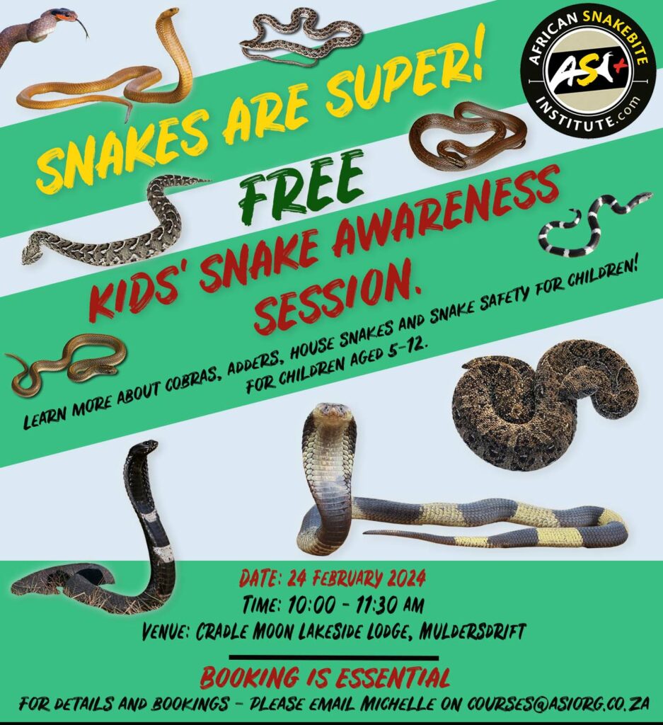 Snakes are super! Kids' Snake Awareness Session - Gauteng - Cradle Moon ...
