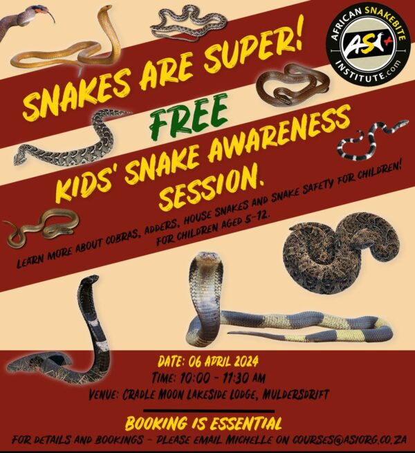 Snakes are super! Kids' Snake Awareness Session - Gauteng - Cradle Moon ...