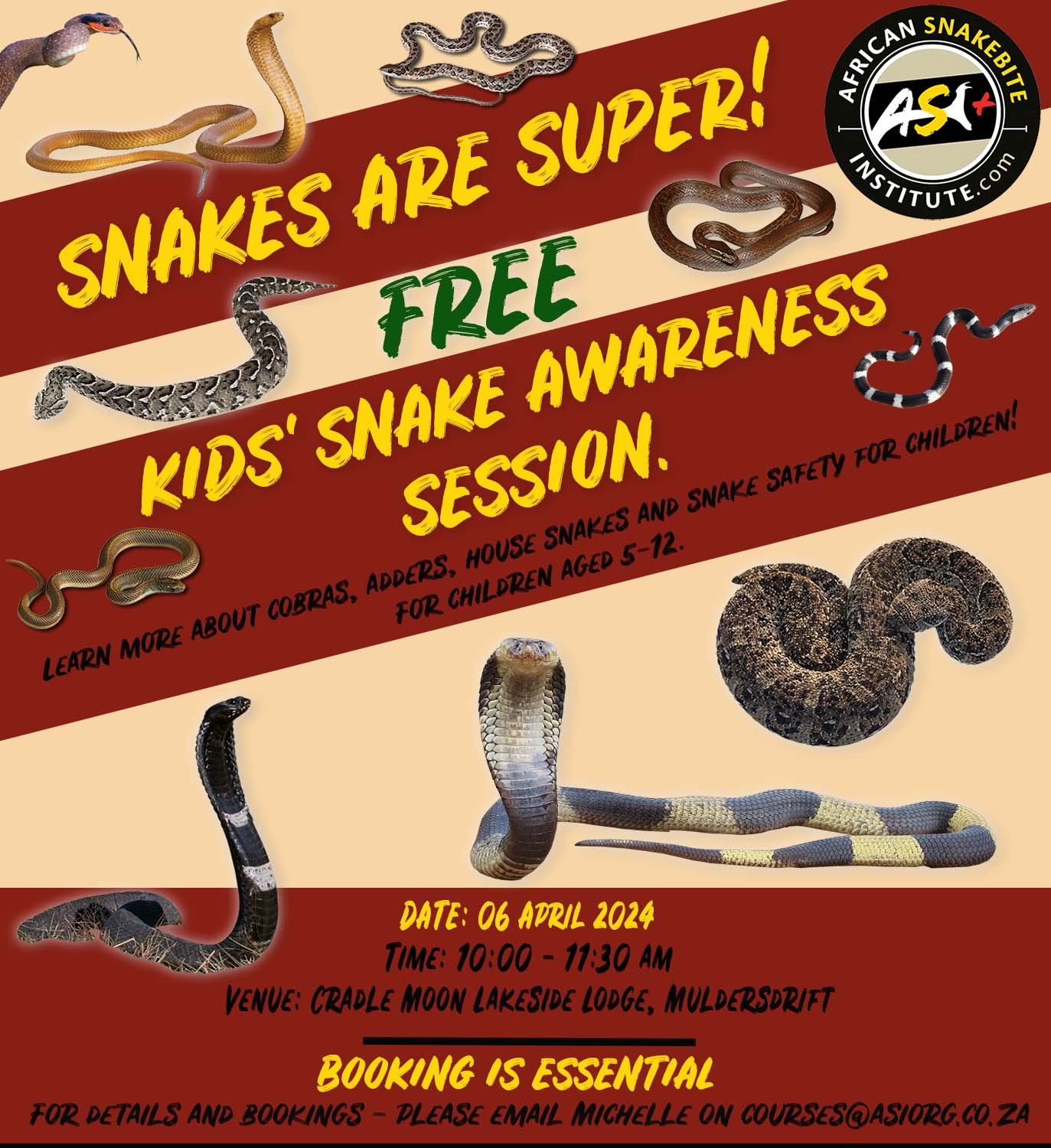Snakes are super! Kids' Snake Awareness Session - Gauteng - Cradle Moon ...