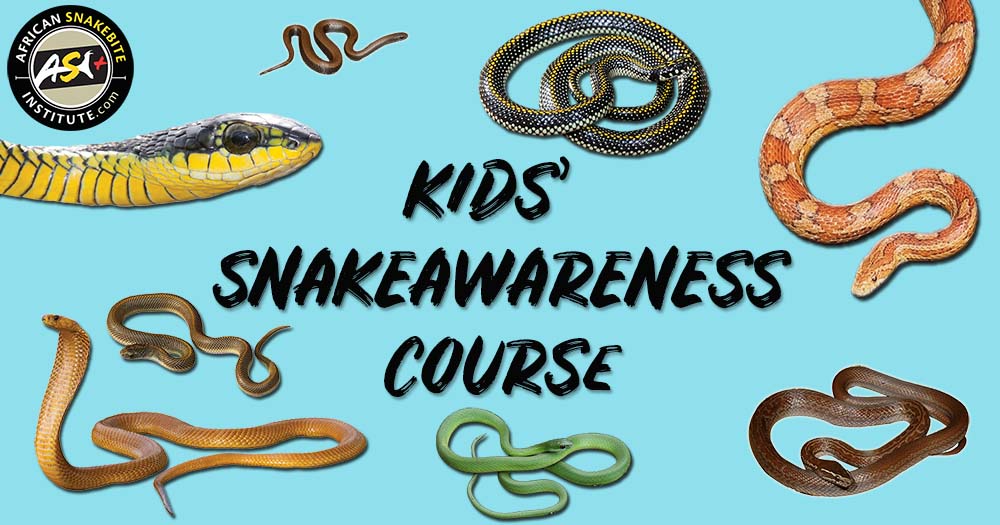 Kids' Snake Awareness Course (Western Cape) - 2024-02-18