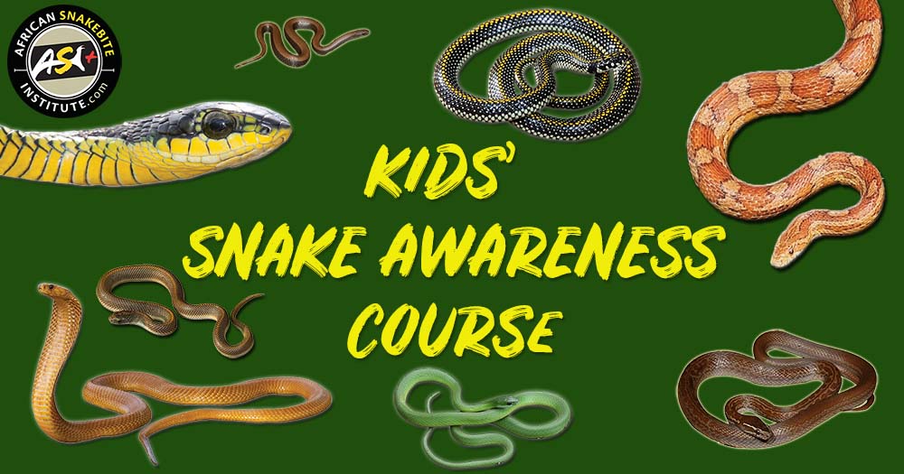 Kids' Snake Awareness Course (Western Cape) - 2024-03-17