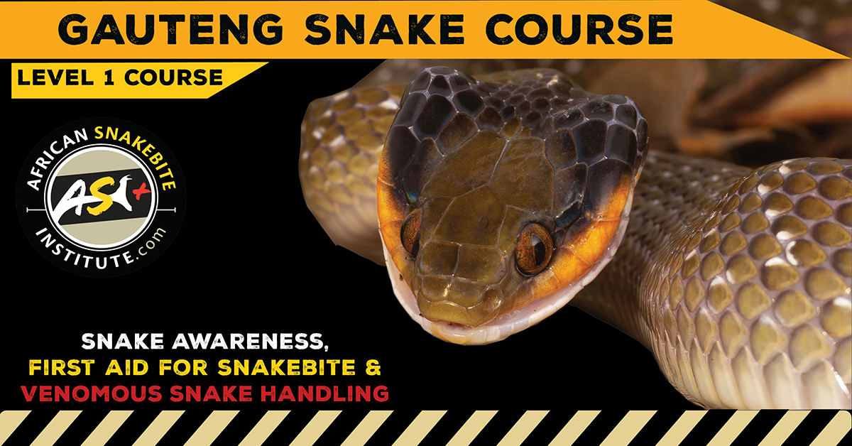 Snake Awareness & Venomous Snake Handling (Gauteng) - 2024-04-27