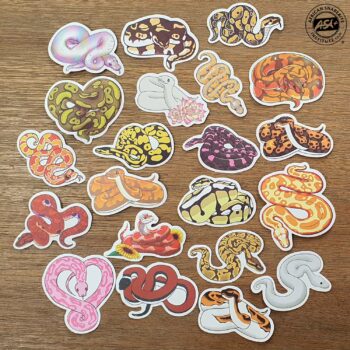 Cute Kids' Snake Stickers (Pack of 10) - African Snakebite Institute