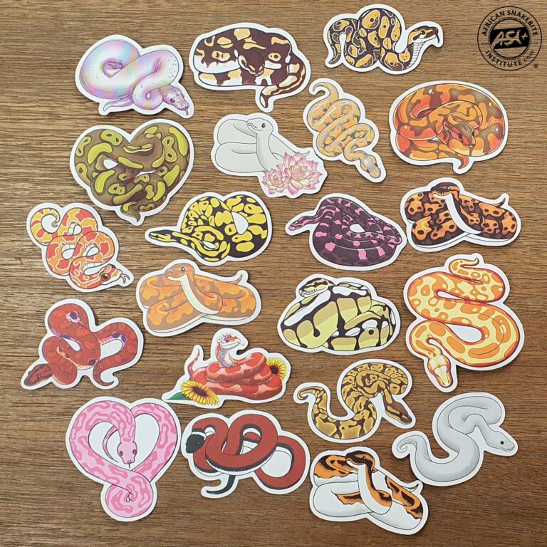 Cute Kids' Snake Stickers (Pack of 10) - African Snakebite Institute