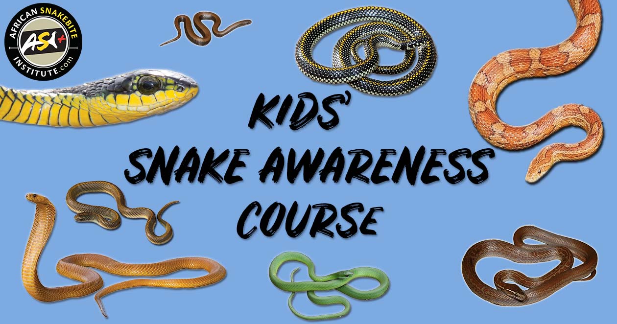 Kids' Snake Awareness Course (Western Cape) - 2024-04-14