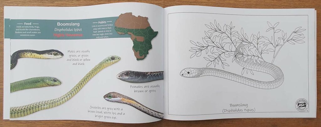 My Colouring Book of Snakes - African Snakebite Institute