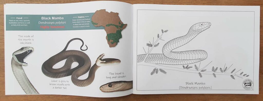 My Colouring Book of Snakes - African Snakebite Institute