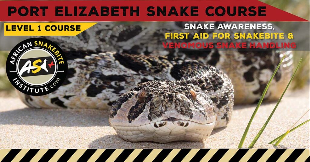 Snake Awareness & Venomous Snake Handling (Port Elizabeth) - 2025-04-05