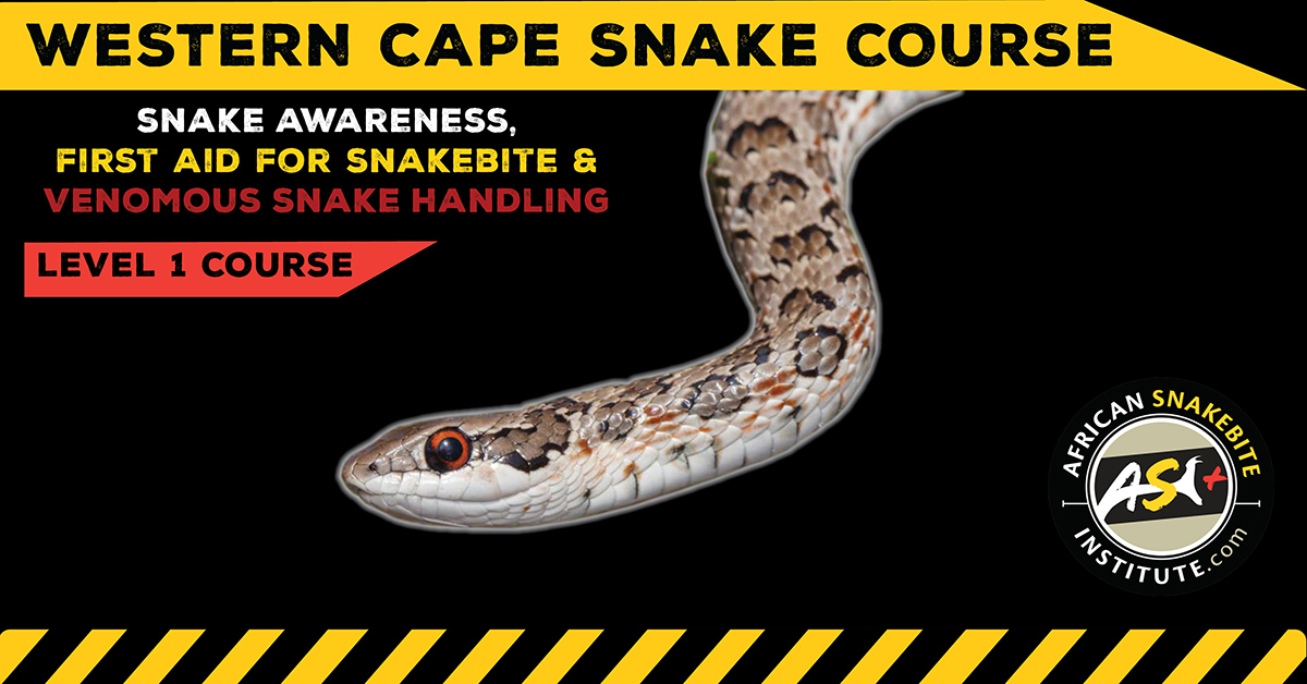 Snake Awareness & Venomous Snake Handling (Western Cape) - 2024-05-18