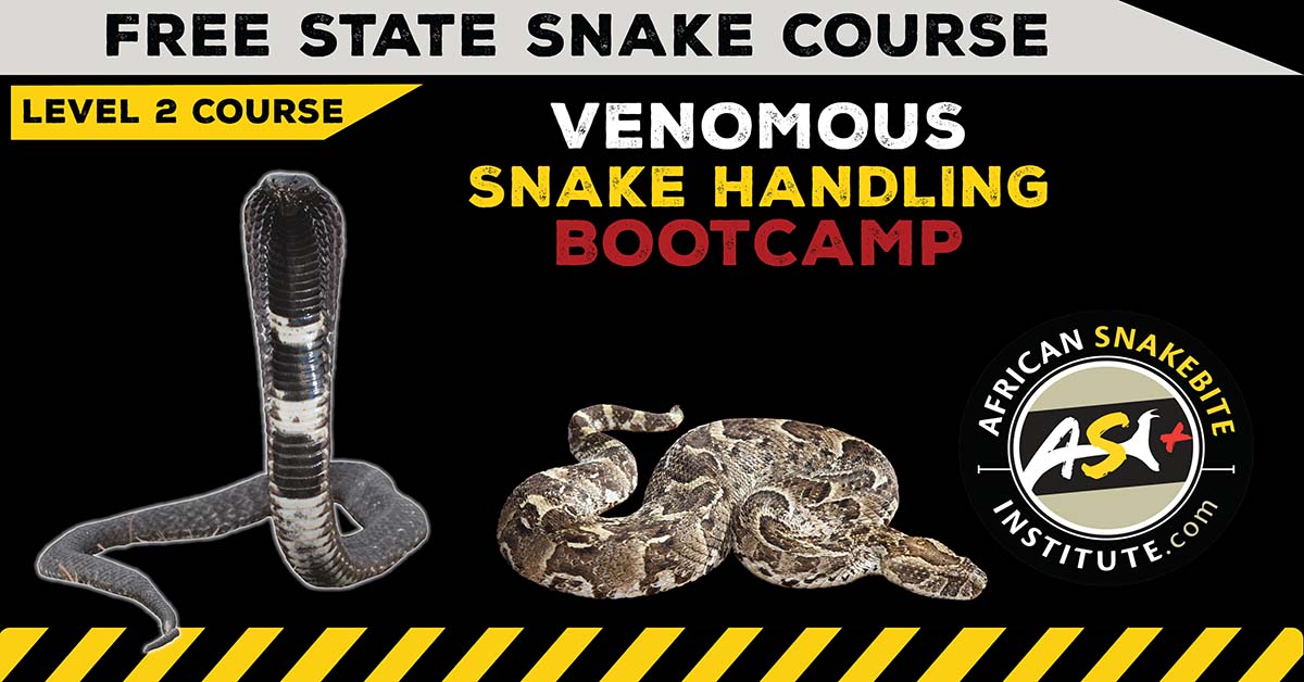 Venomous Snake Handling Bootcamp (Bloemfontein) - 2024-07-07
