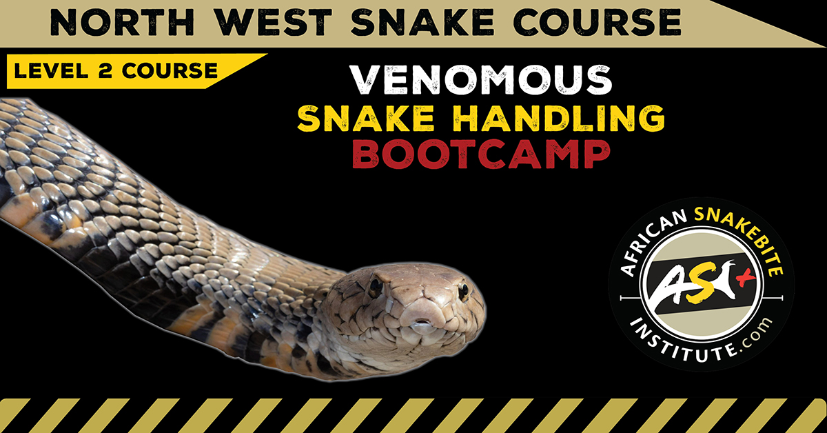Venomous Snake Handling Bootcamp (North West) - 2024-07-14