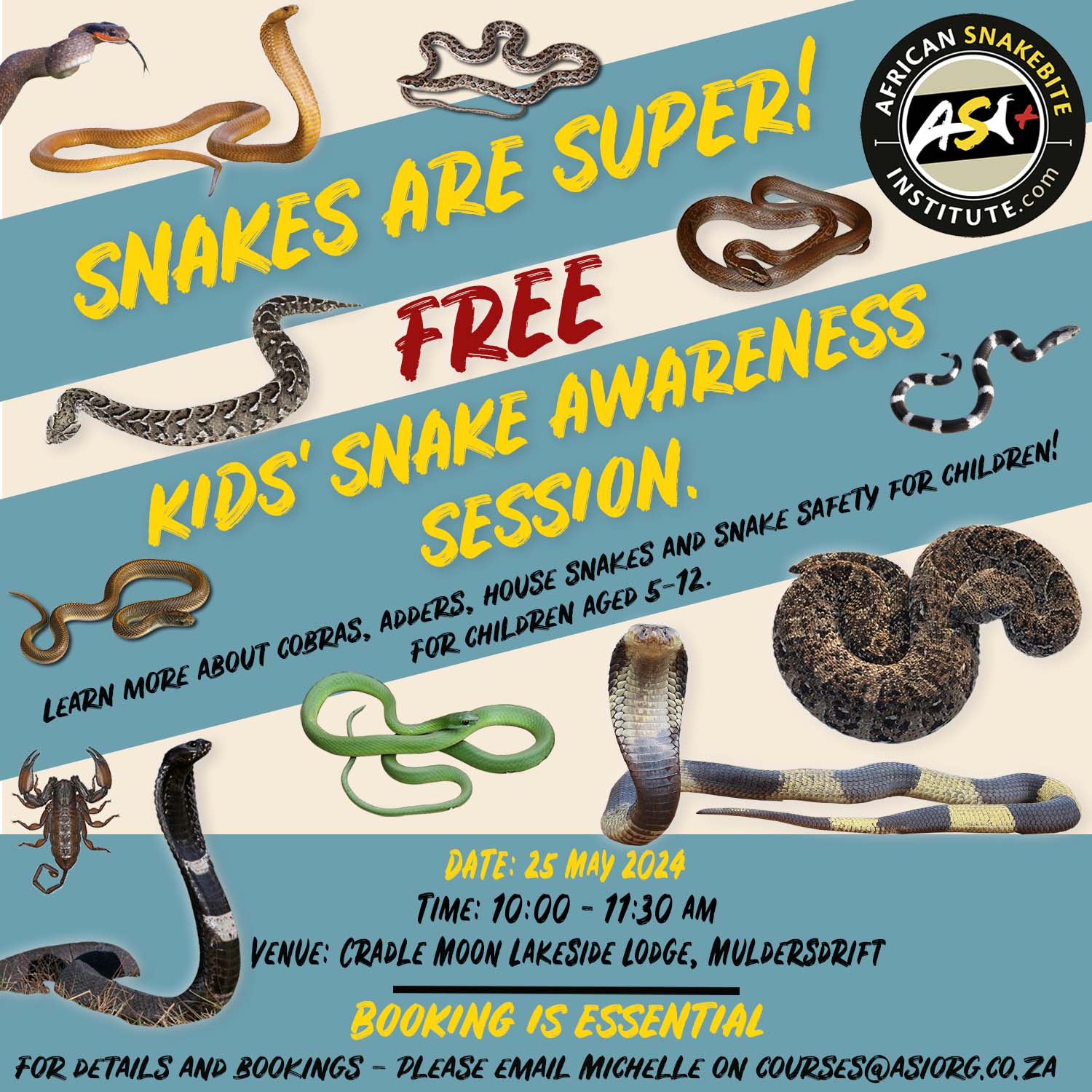 Snakes are super! Kids' Snake Awareness Session - Gauteng - Cradle Moon ...