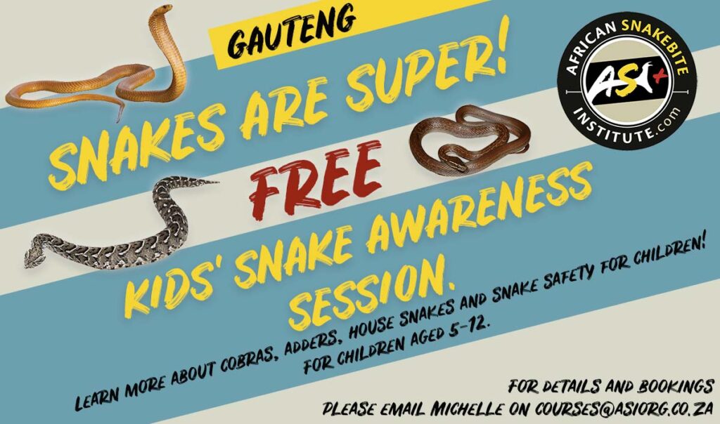 Snakes are super! Kids' Snake Awareness Session - Gauteng - Cradle Moon ...