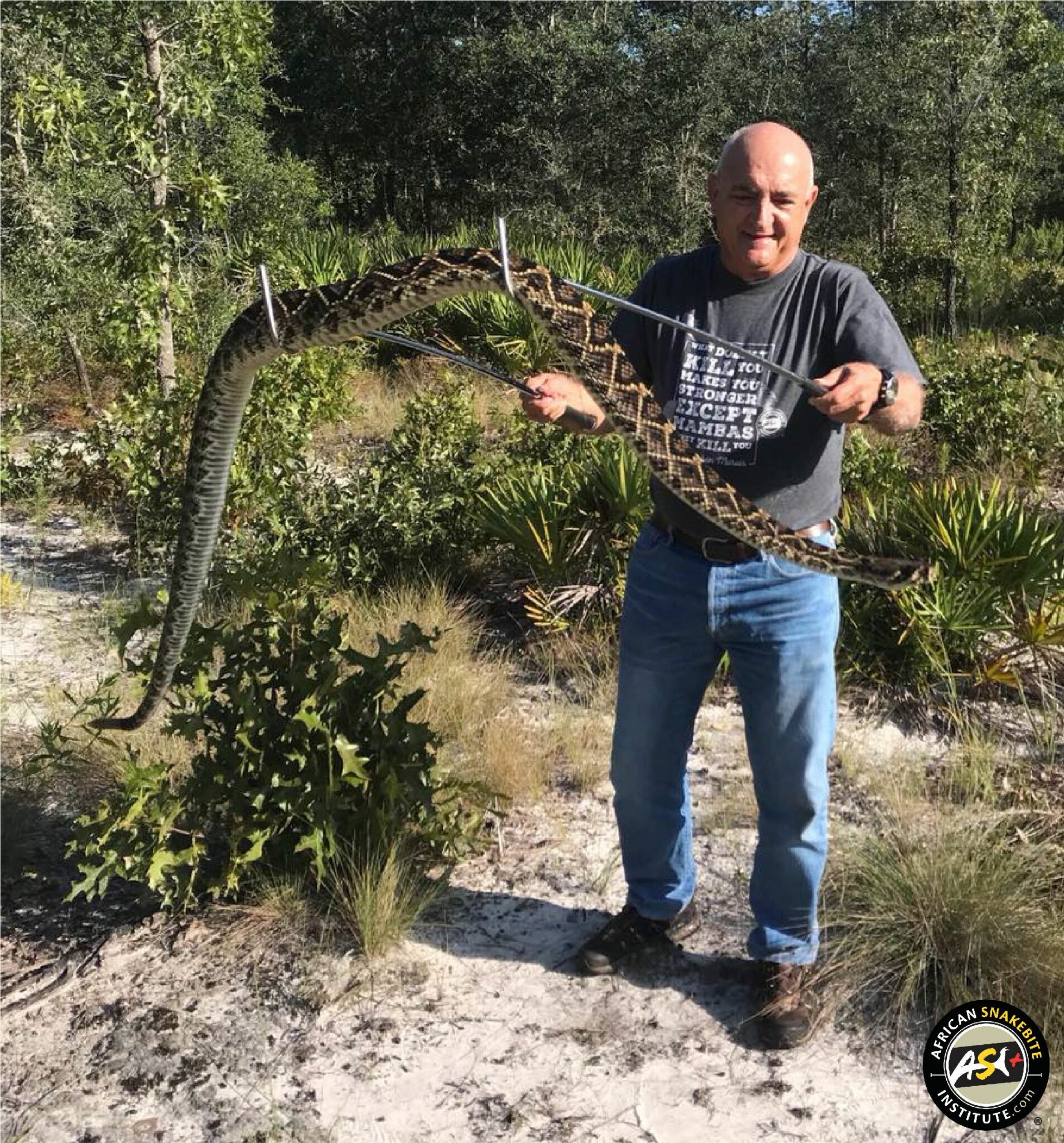 Exotic Snakes - African Snakebite Institute