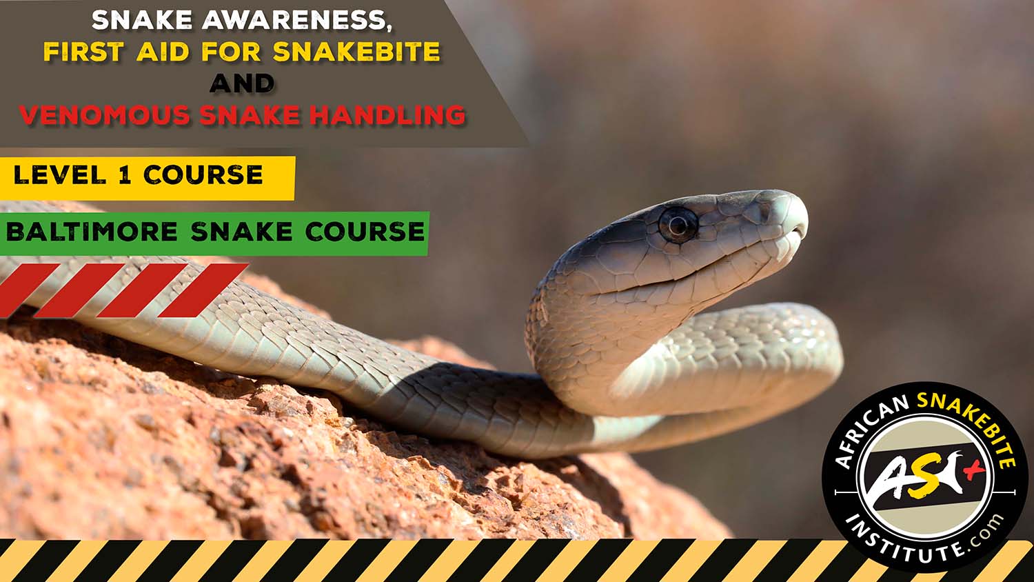 Snake Awareness & Venomous Snake Handling (Baltimore) - 2024-08-15