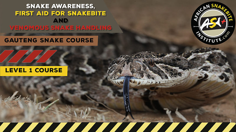 Snake Awareness & Venomous Snake Handling (Gauteng) - 2024-08-31