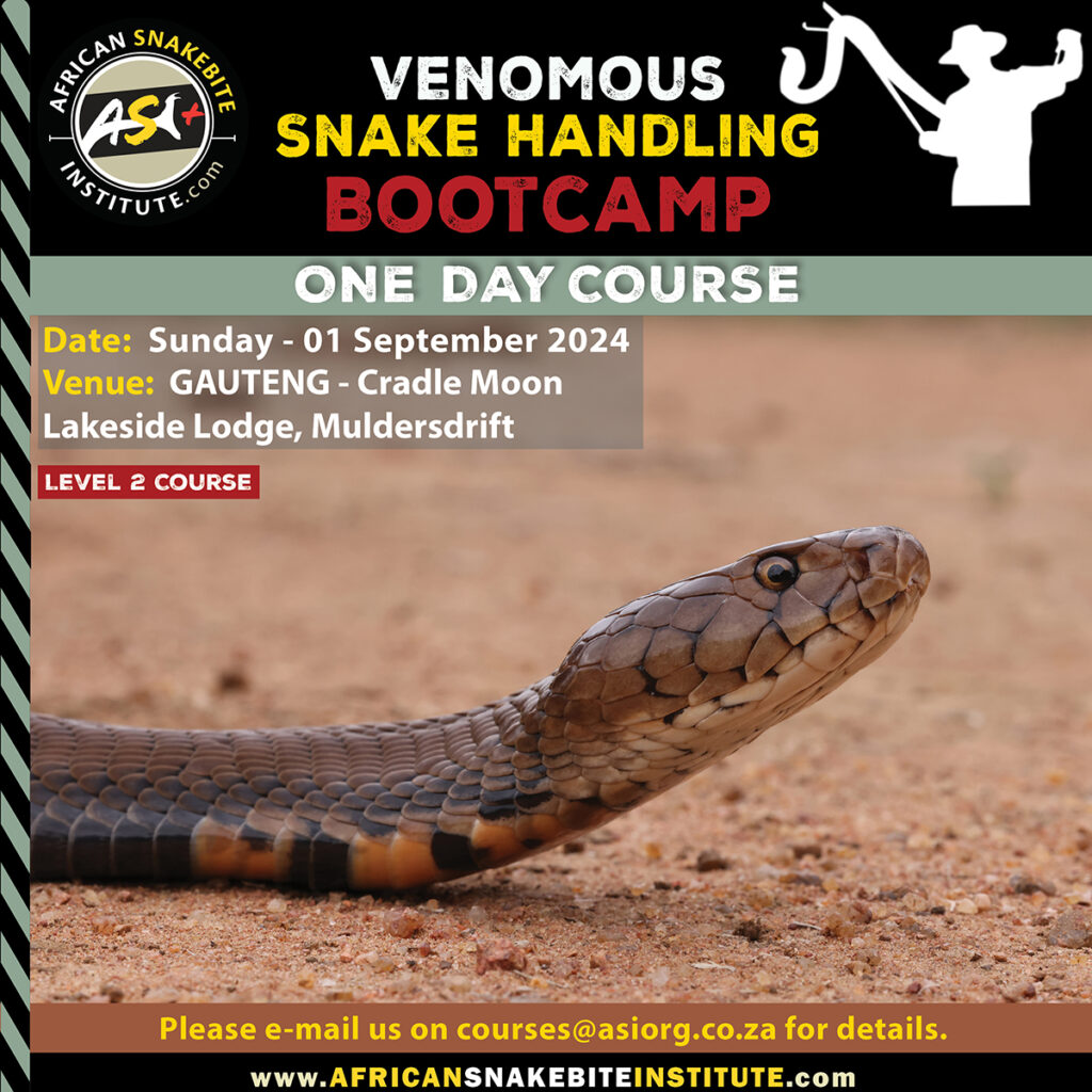 Venomous Snake Handling Bootcamp (Gauteng) - 2024-09-01