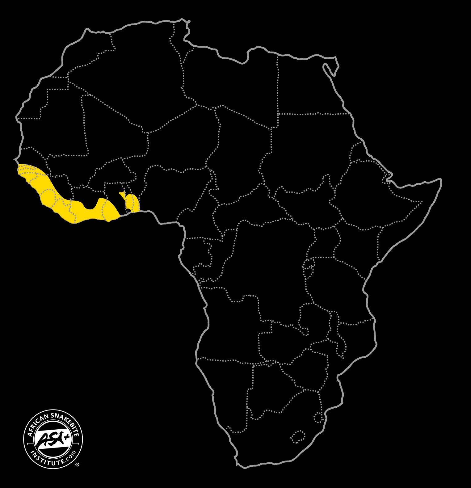 West African Green Mamba - African Snakebite Institute