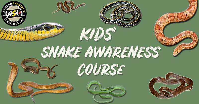 Kids' Snake Awareness Course (Western Cape) - 2024-08-25