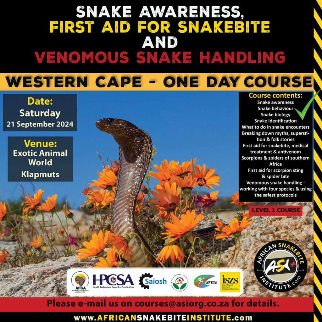 Snake Awareness & Venomous Snake Handling (Western Cape) - 2024-09-21