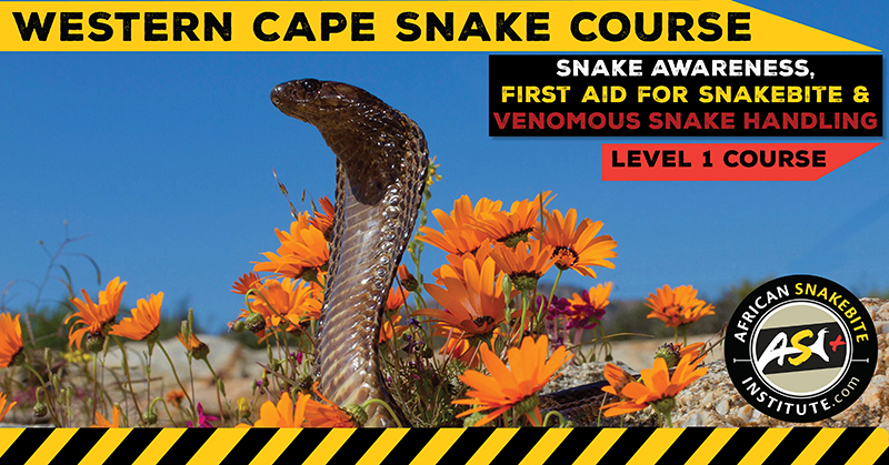 Snake Awareness & Venomous Snake Handling (Western Cape) - 2024-09-21