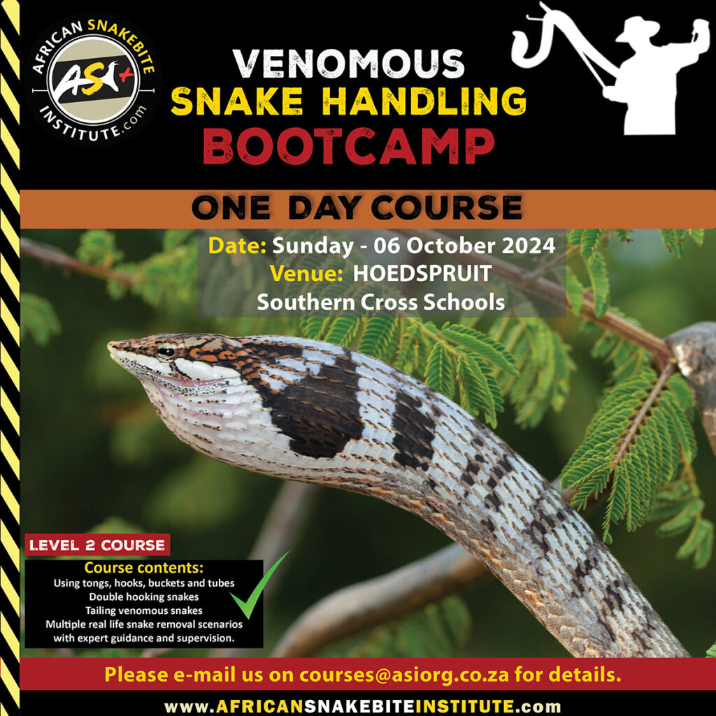 Venomous-Snake Handling Bootcamp (Hoedspruit) - 2024-10-06