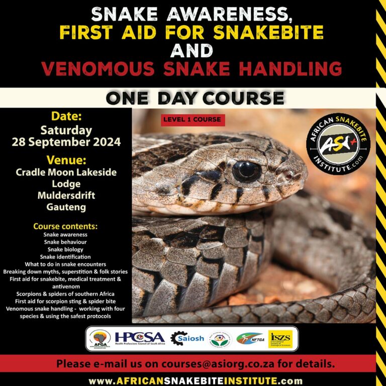 Snake Awareness & Venomous Snake Handling (Gauteng) - 2024-09-28