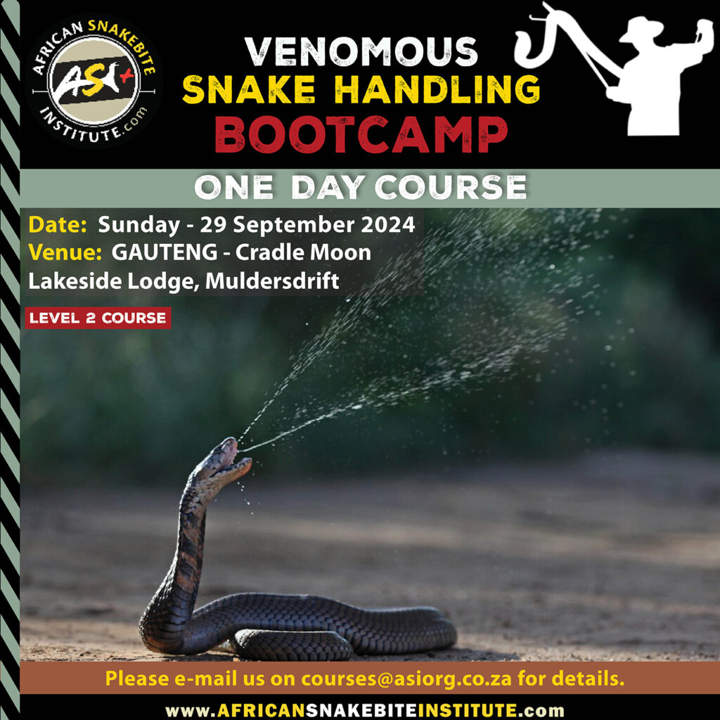 Venomous Snake Handling Bootcamp (Gauteng) - 2024-12-08
