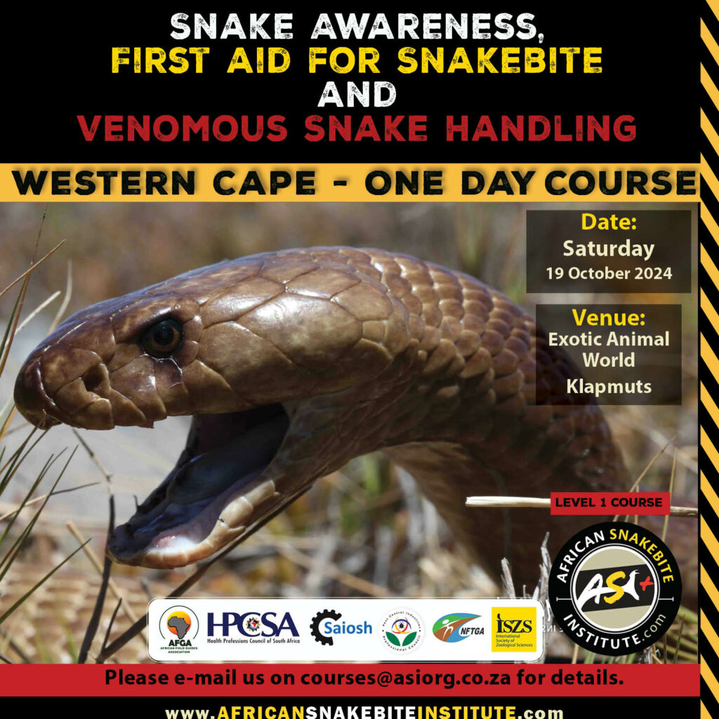 Snake Awareness & Venomous Snake Handling (Western Cape) - 2024-10-19