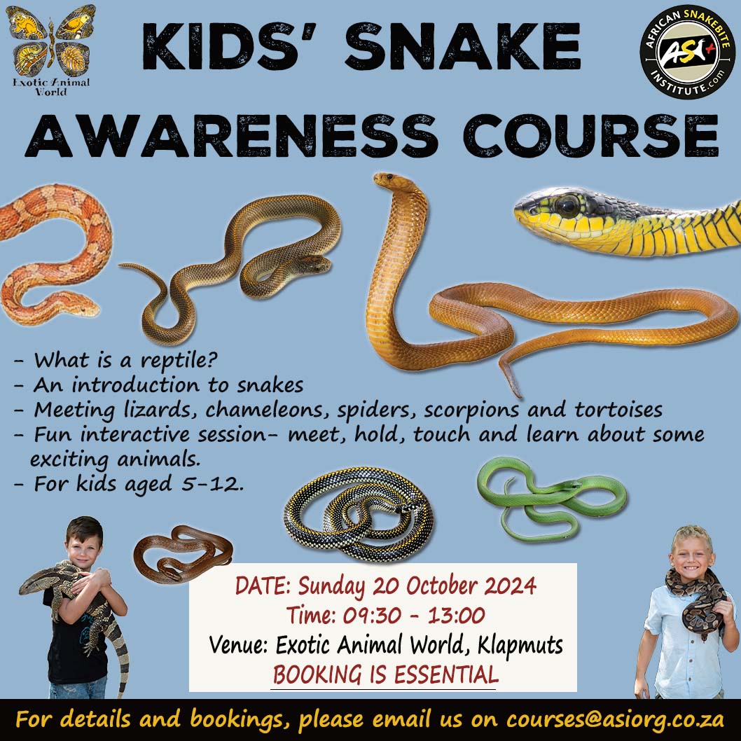 Kids' Snake Awareness Course (Western Cape) - 2024-10-20
