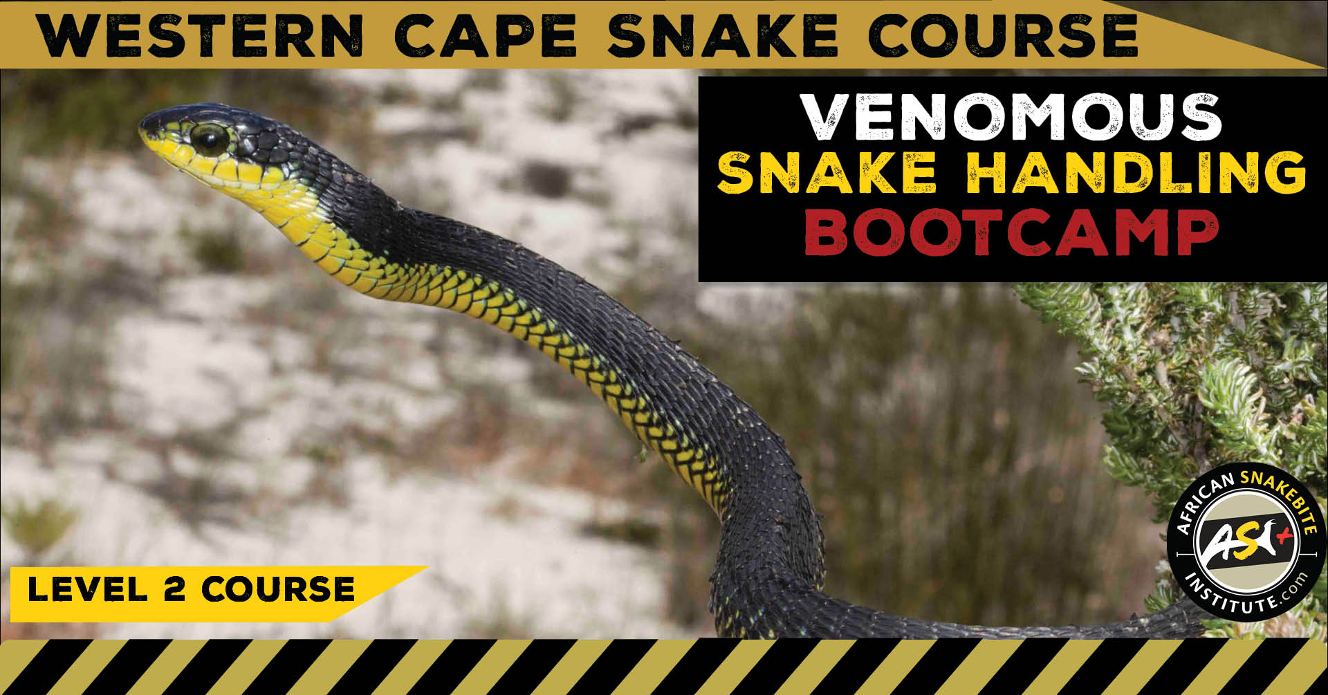 Venomous-Snake Handling Bootcamp (Western Cape) - 2024-10-20