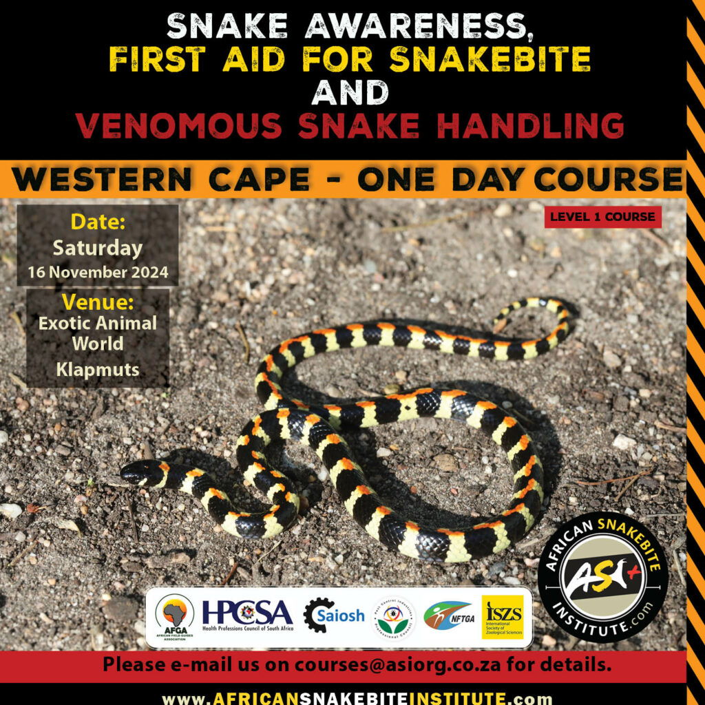 Snake Awareness & Venomous Snake Handling (Western Cape) - 2024-11-16