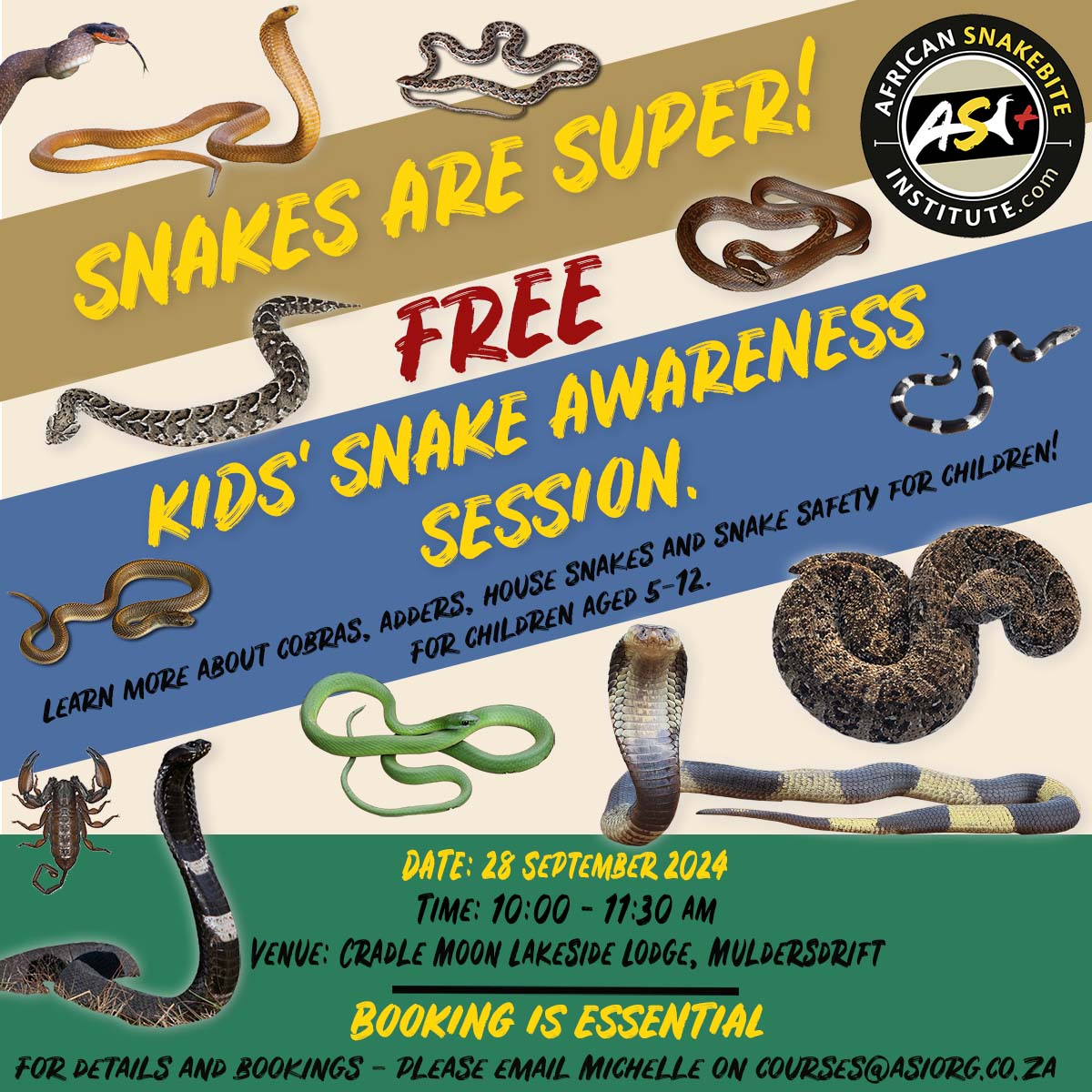 Snakes are super! Kids' Snake Awareness Session - Gauteng - Cradle Moon ...