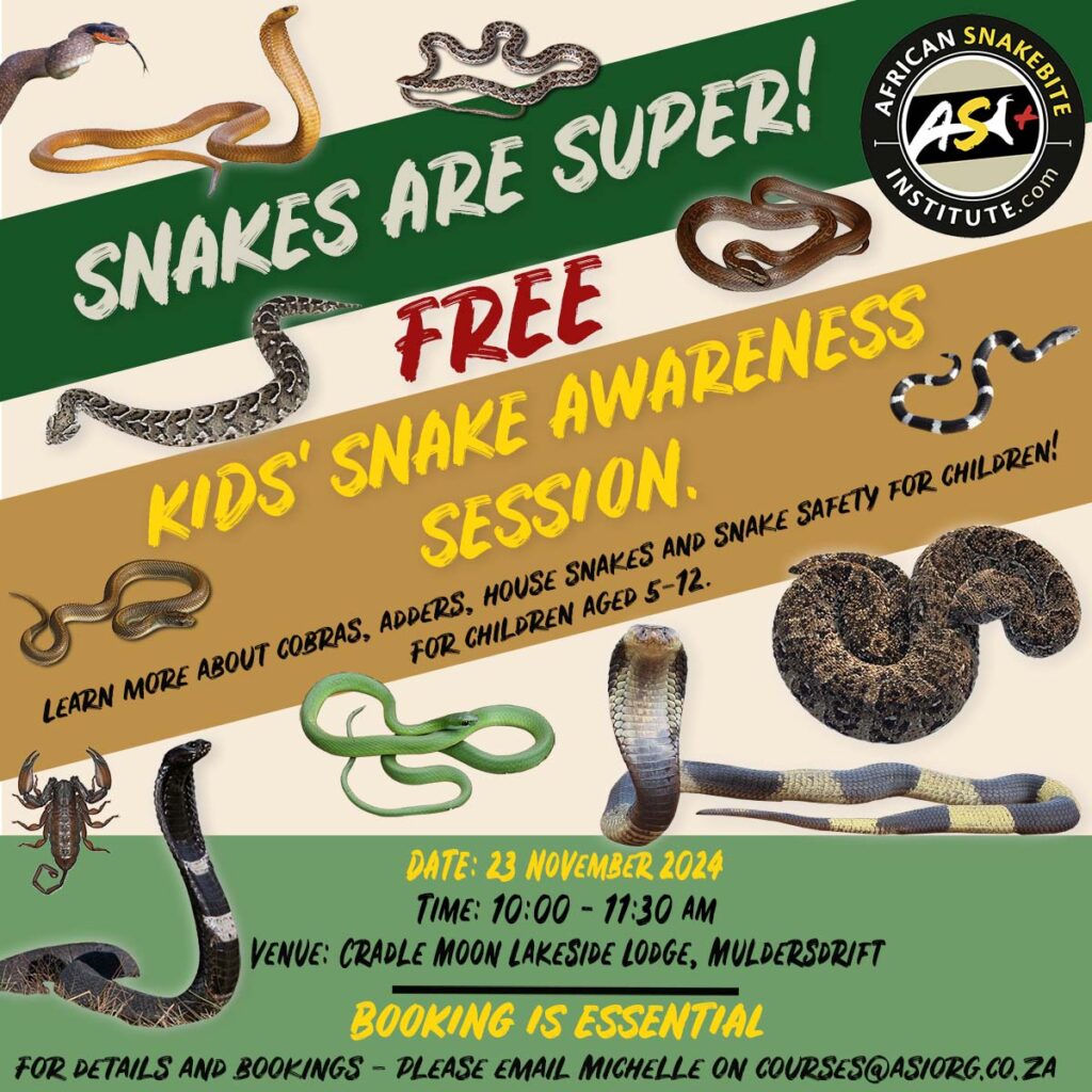 Snakes are super! Kids' Snake Awareness Session - Gauteng - Cradle Moon ...
