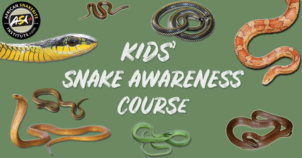 Kids' Snake Awareness Course (Western Cape) - 2024-09-22